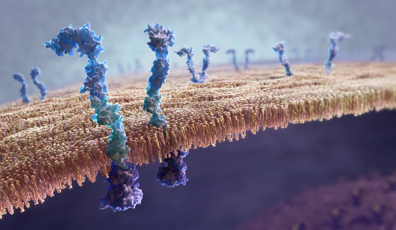 Maxwell Biosciences — Next Generation Anti-infectives and Antivirals