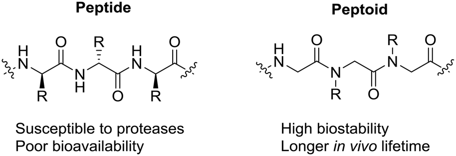Next Generation Virucides – Peptoids — Maxwell Biosciences