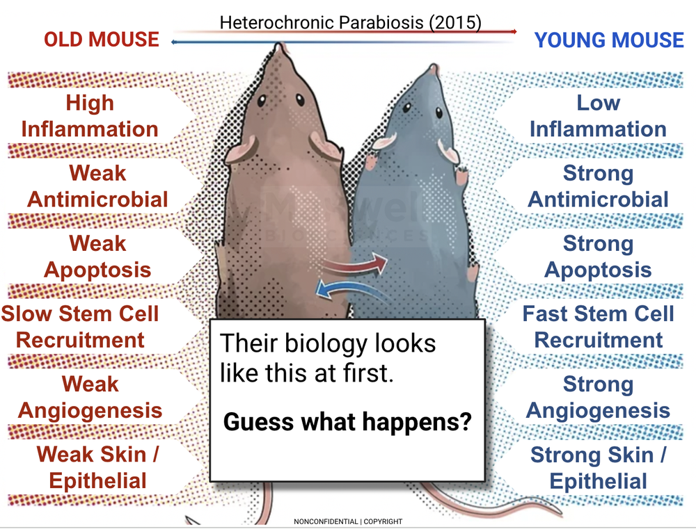 Extending Health Span — Maxwell Biosciences