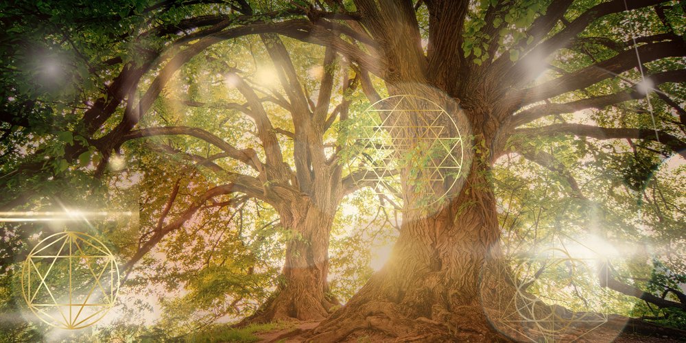 Sydney Reiki, Spiritual Teacher & Shamanic Healer