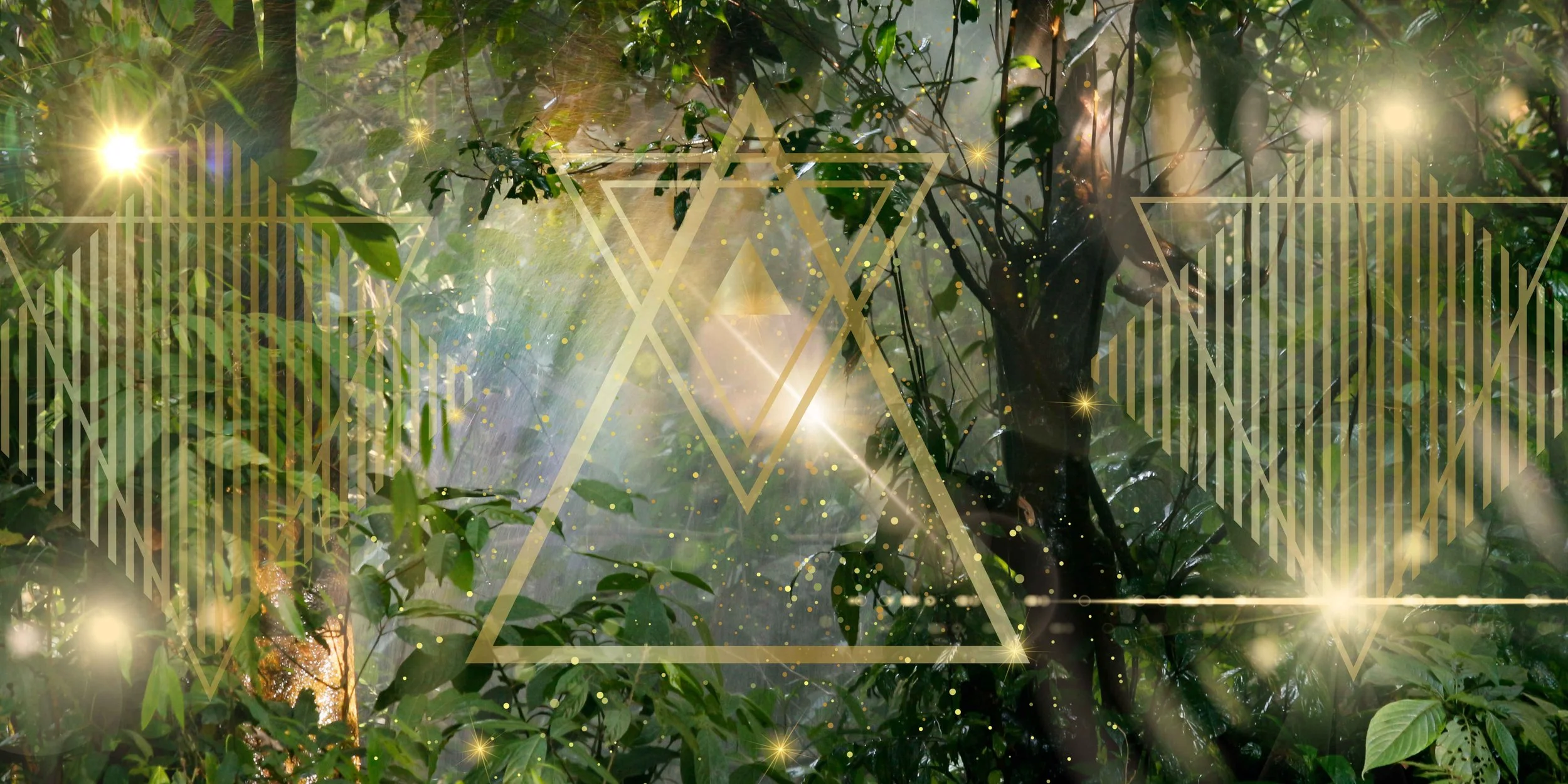 Sydney Reiki, Spiritual Teacher & Shamanic Healer