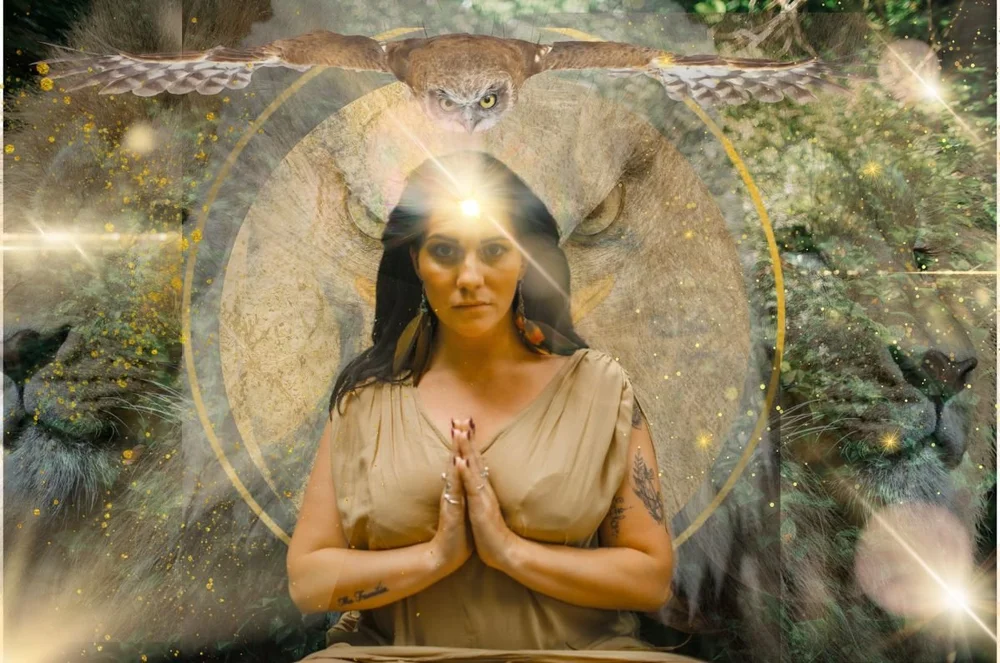 Divine Ascension — Divine Medicine