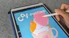The Beginner’s Guide to Coloring in Procreate — ChubCatArt ...
