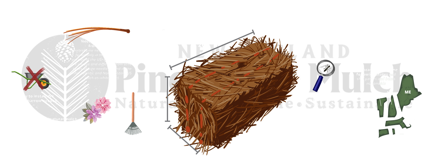 New England Pine Straw Mulch