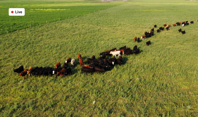 8Acres