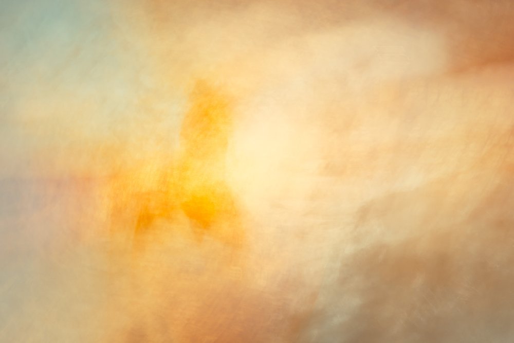 Andrew S. Gray Photography