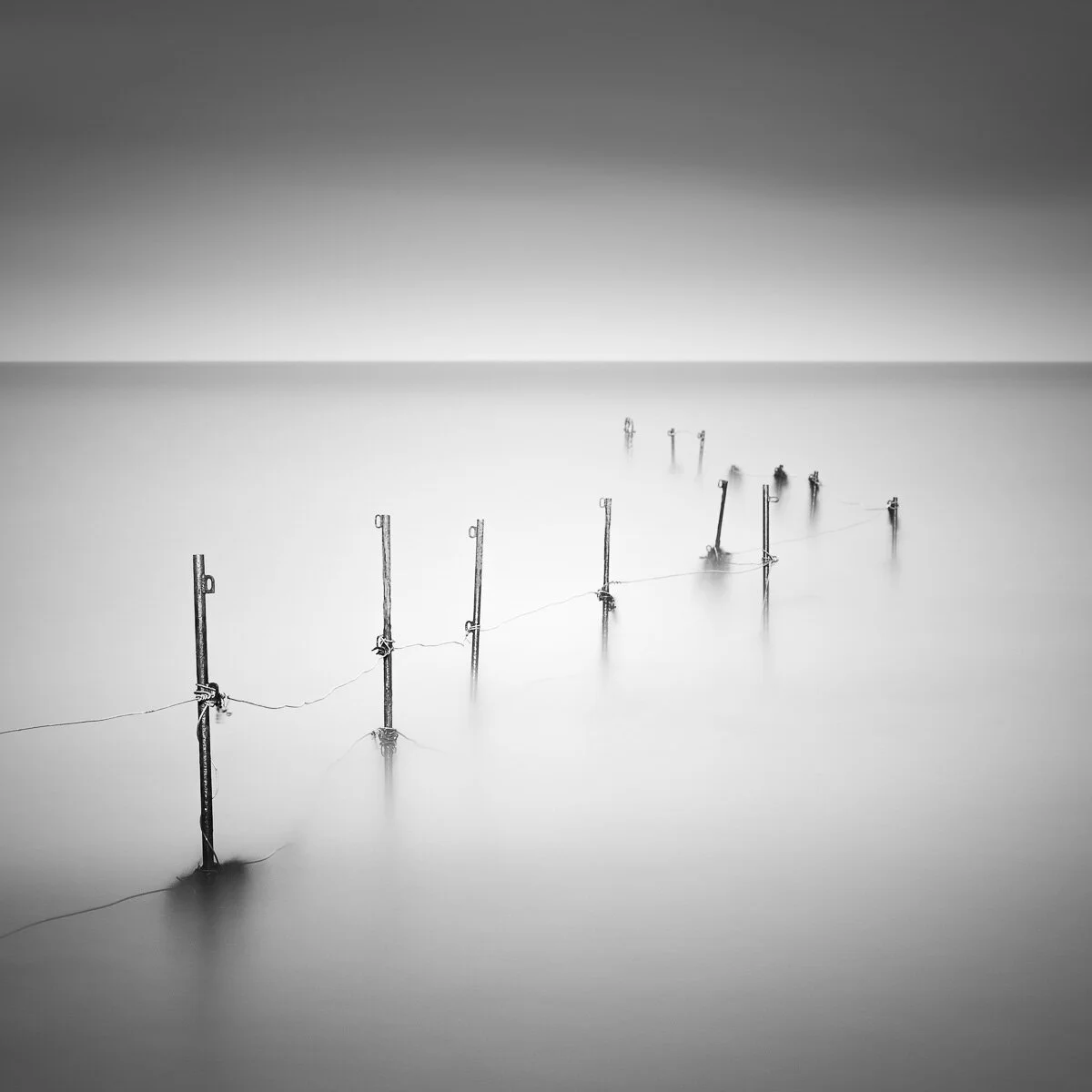A Previous Life Gallery — Andrew S. Gray Photography