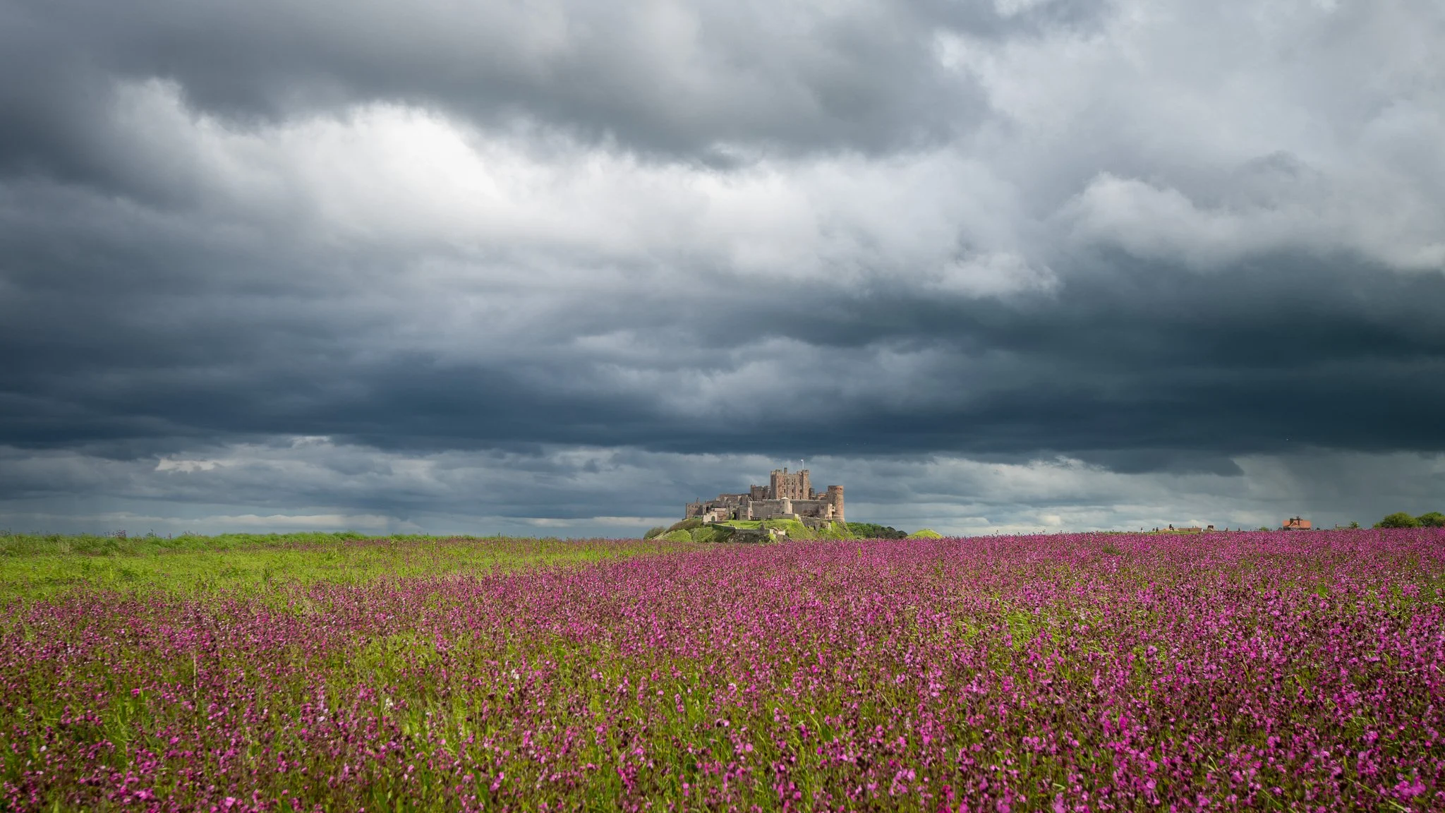 Dalliances Gallery — Andrew S. Gray Photography