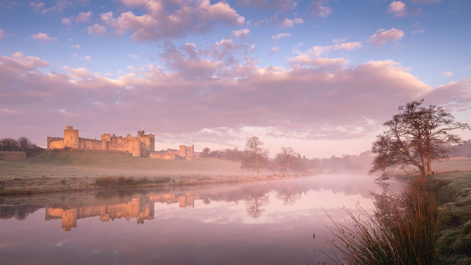 Dalliances Gallery — Andrew S. Gray Photography