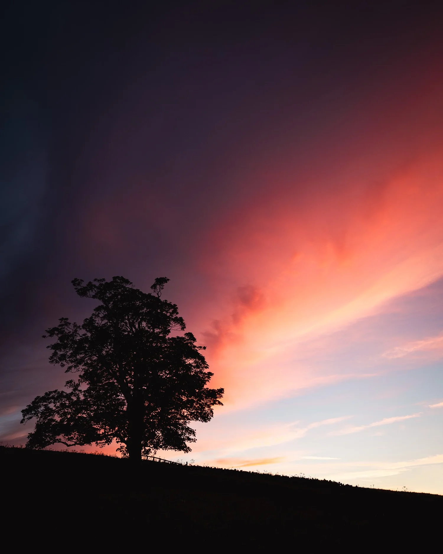 Dalliances Gallery — Andrew S. Gray Photography