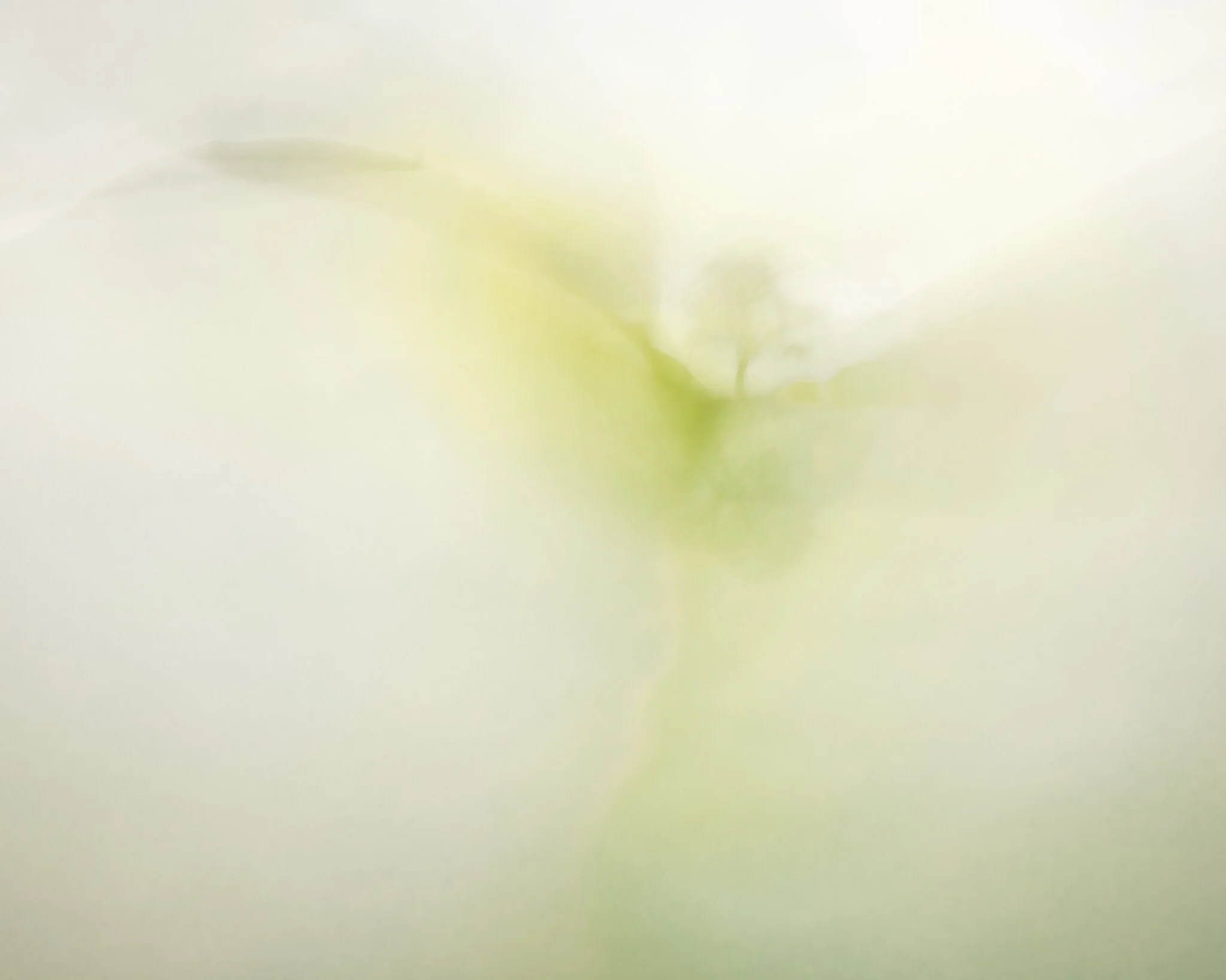 Latest Work — Andrew S. Gray Photography