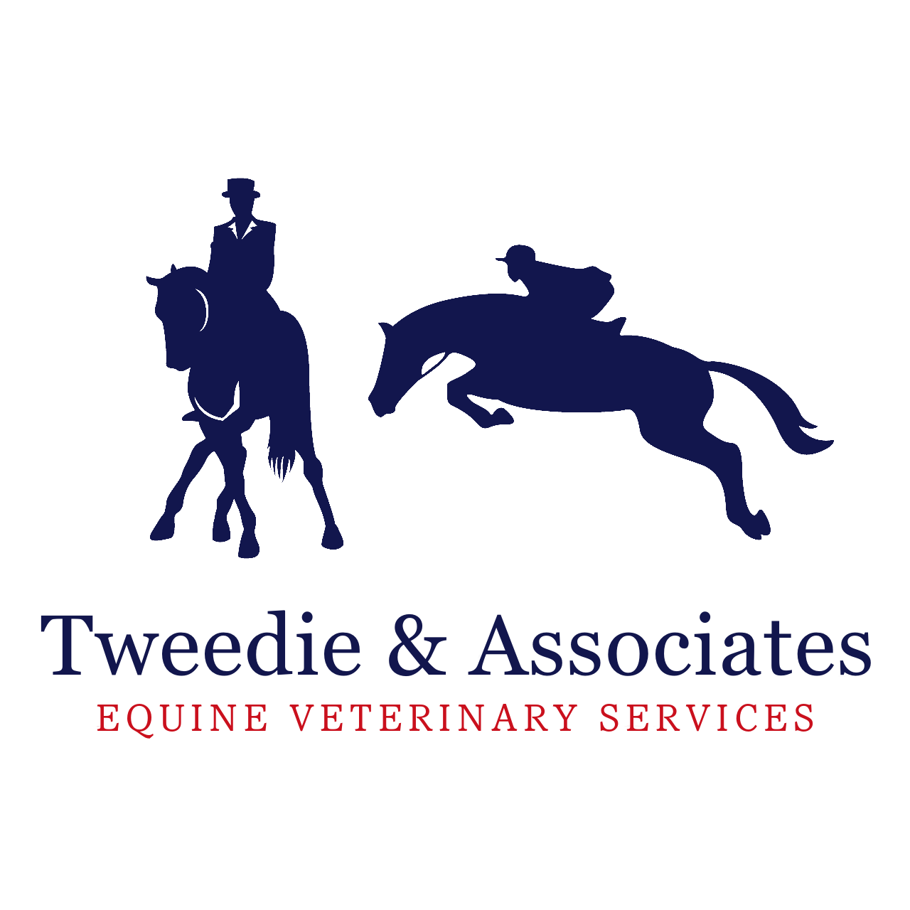 Equine Veterinary Symbol