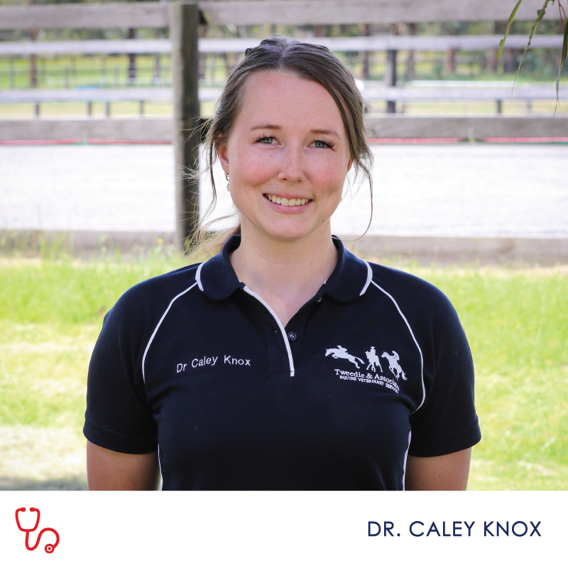 Our Experienced Veterinary Team