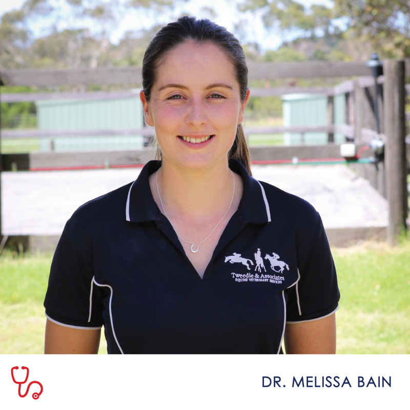 Our Experienced Veterinary Team