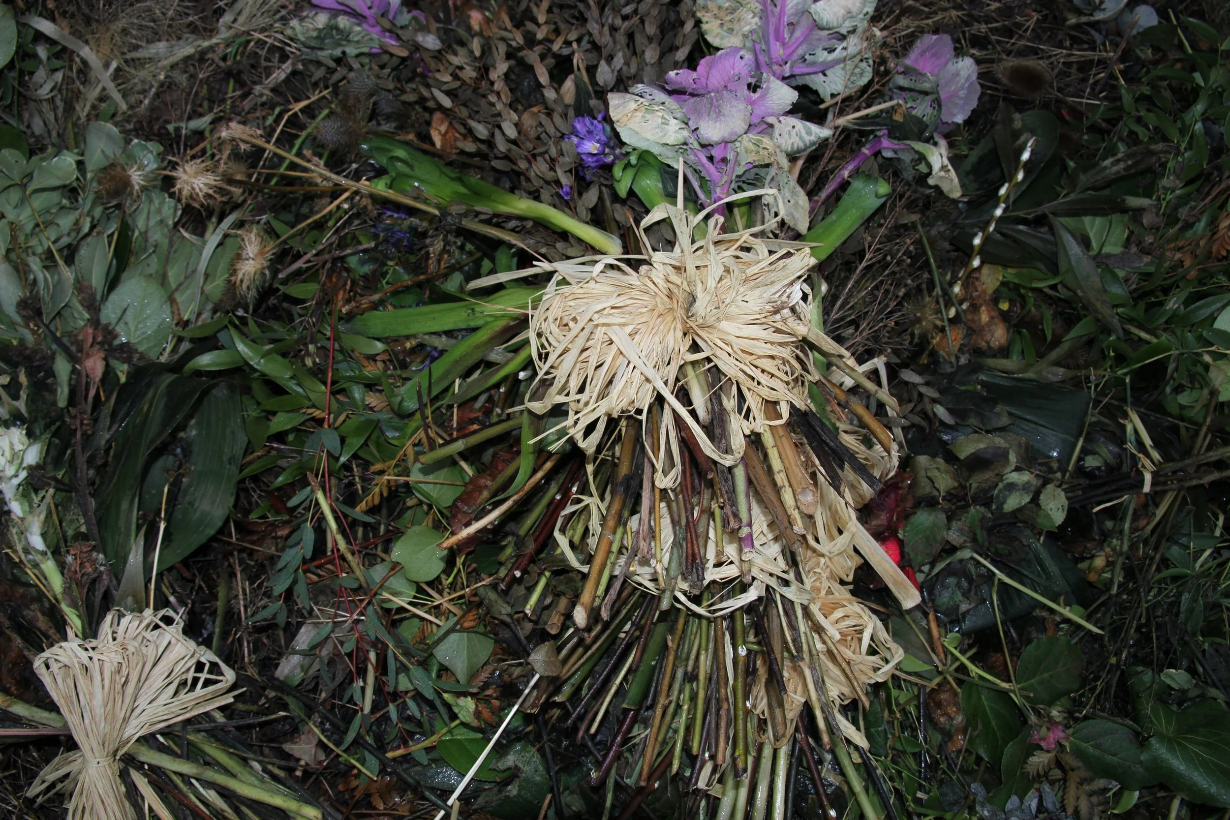 Robyn Woolston / Artist