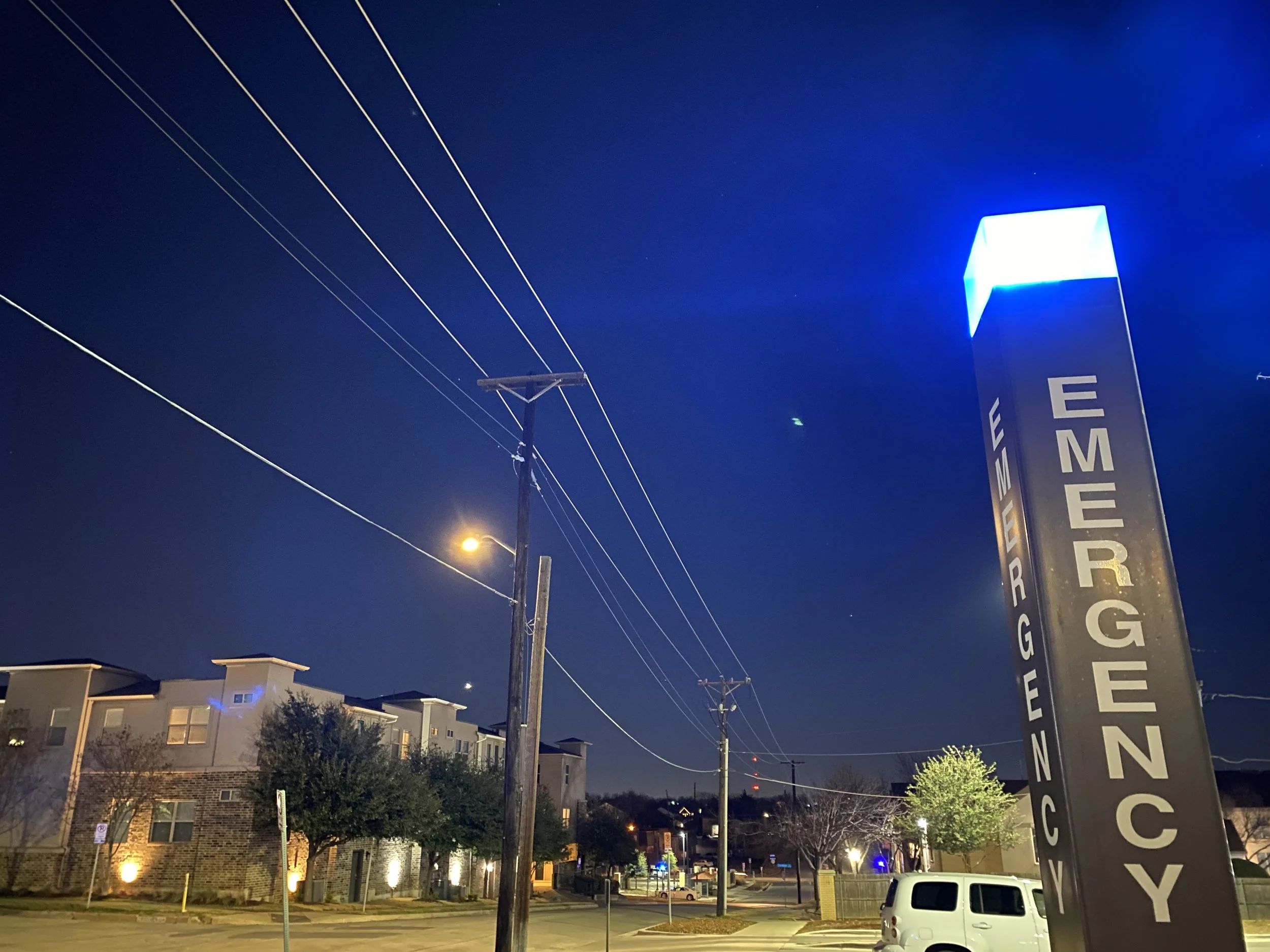 Robyn Woolston / Artist