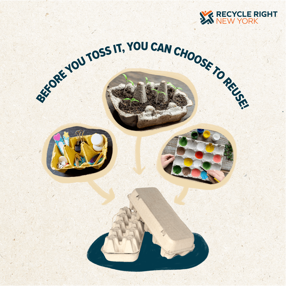 4 Tips for Recycling Egg Cartons — Recycle Right NY