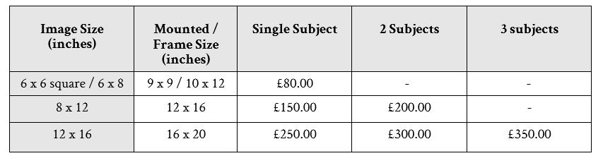 Price List — Joanne kitson fine art