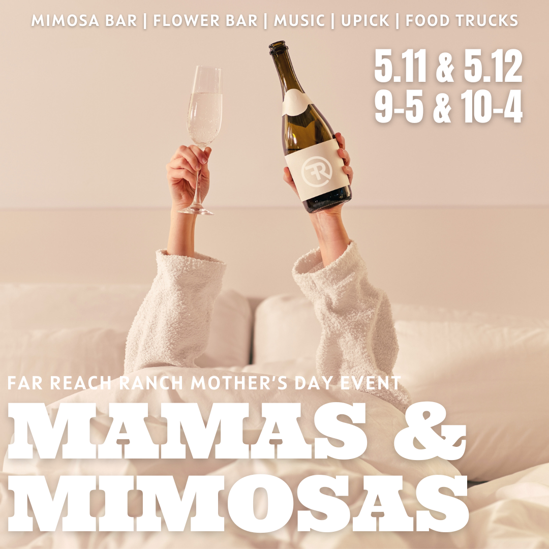 Mamas and Mimosas at Far Reach Ranch - Central Florida Things To Do