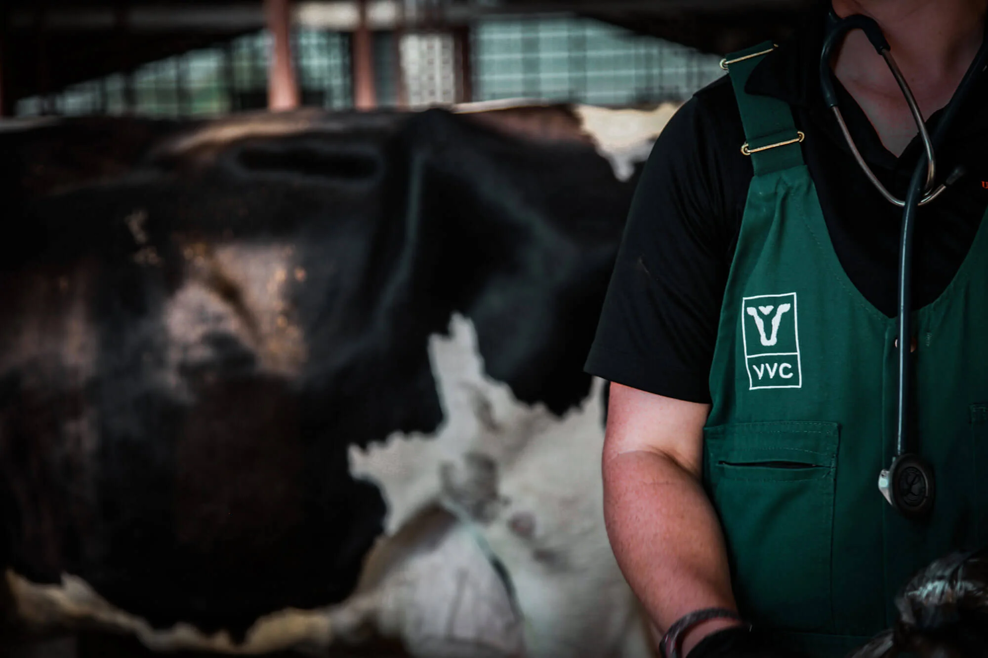 Valley Veterinary Clinic — Mobile Dairy and Cattle Veterinary Services