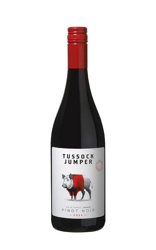 Wine Brand Ambassador in London