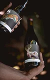 Wine Brand Ambassador in London