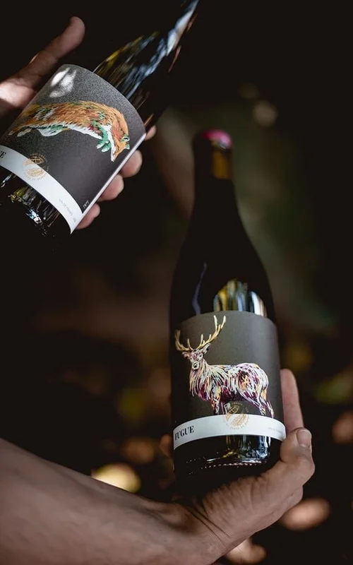 Wine Brand Ambassador in London