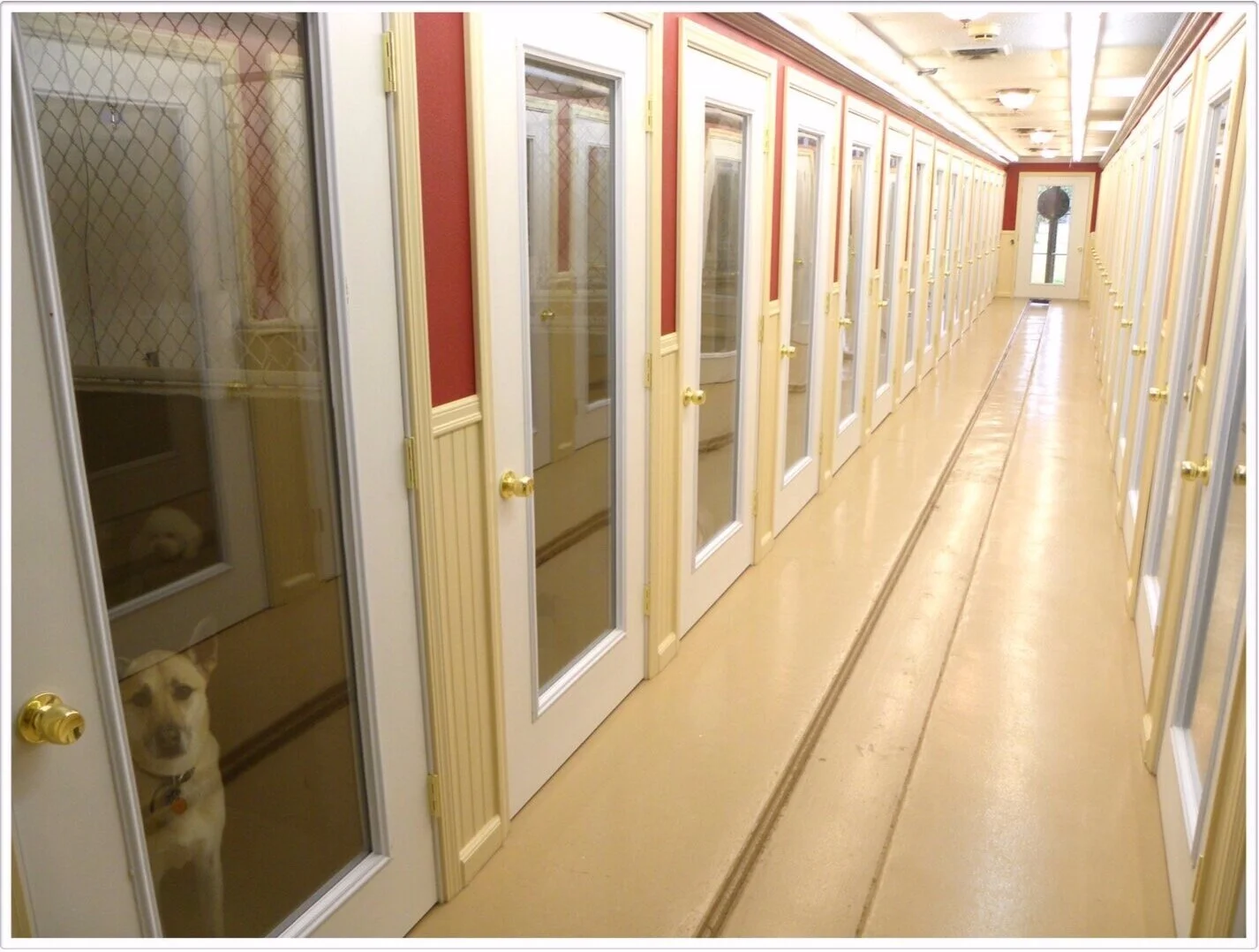 Susie's Country Inn for Dogs and Cats