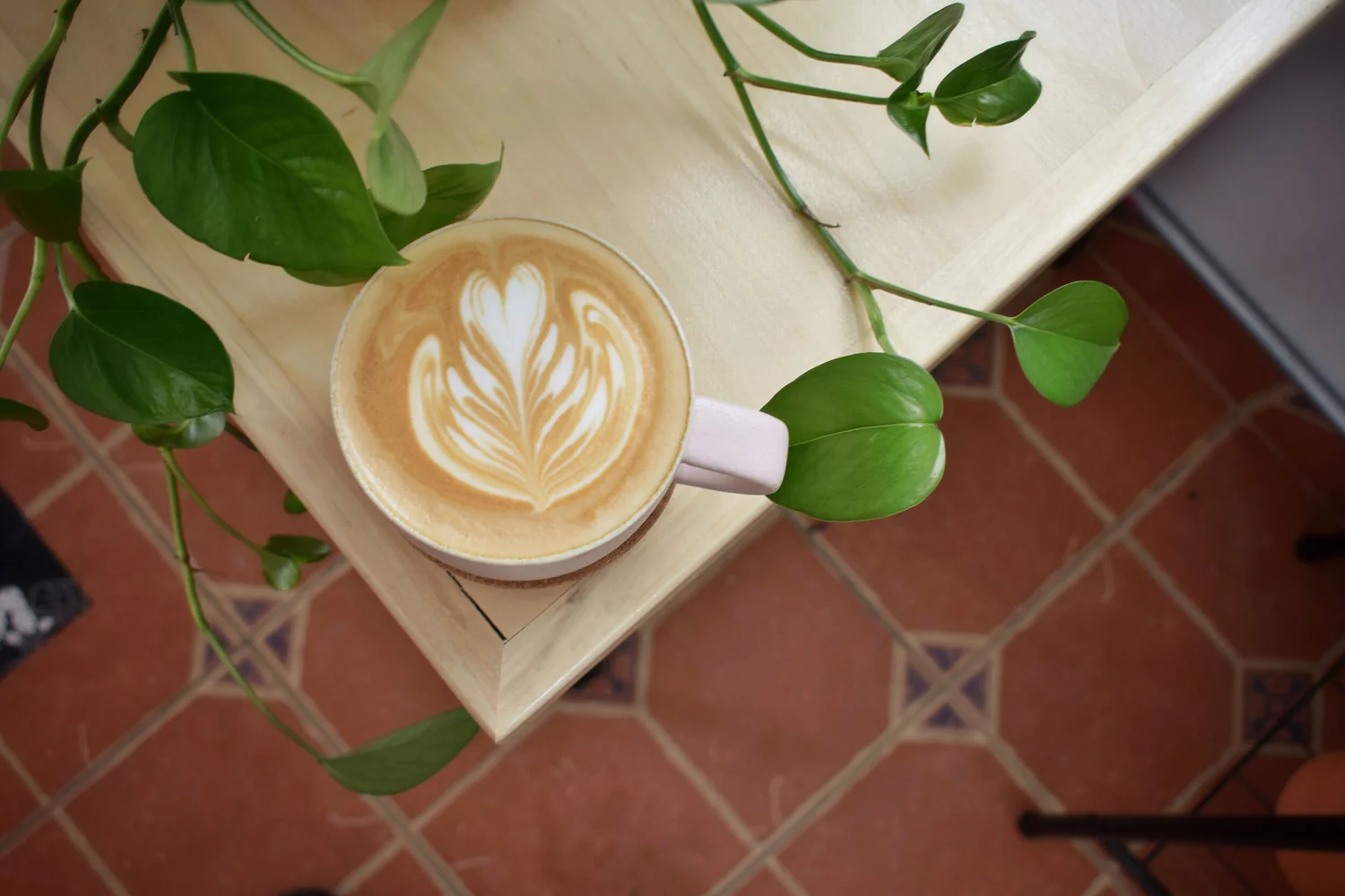 botanist coffeehouse