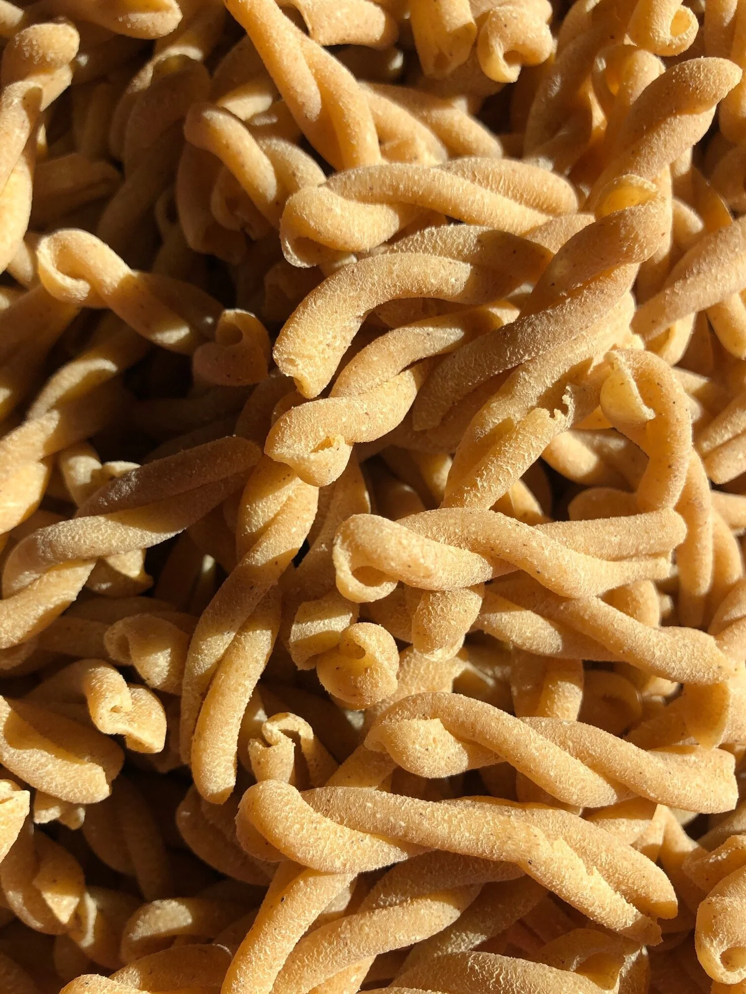 Mill Valley Pasta Co.