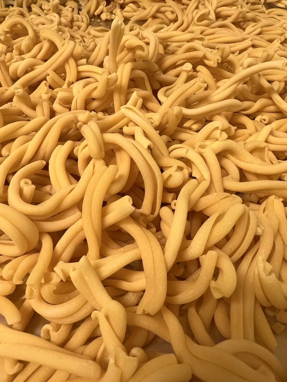 Trecce Pasta — Mill Valley Pasta Co.