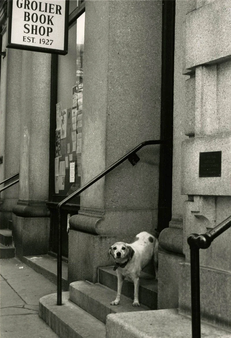 History — Grolier Poetry Book Shop
