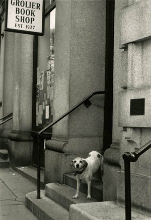 History — Grolier Poetry Book Shop