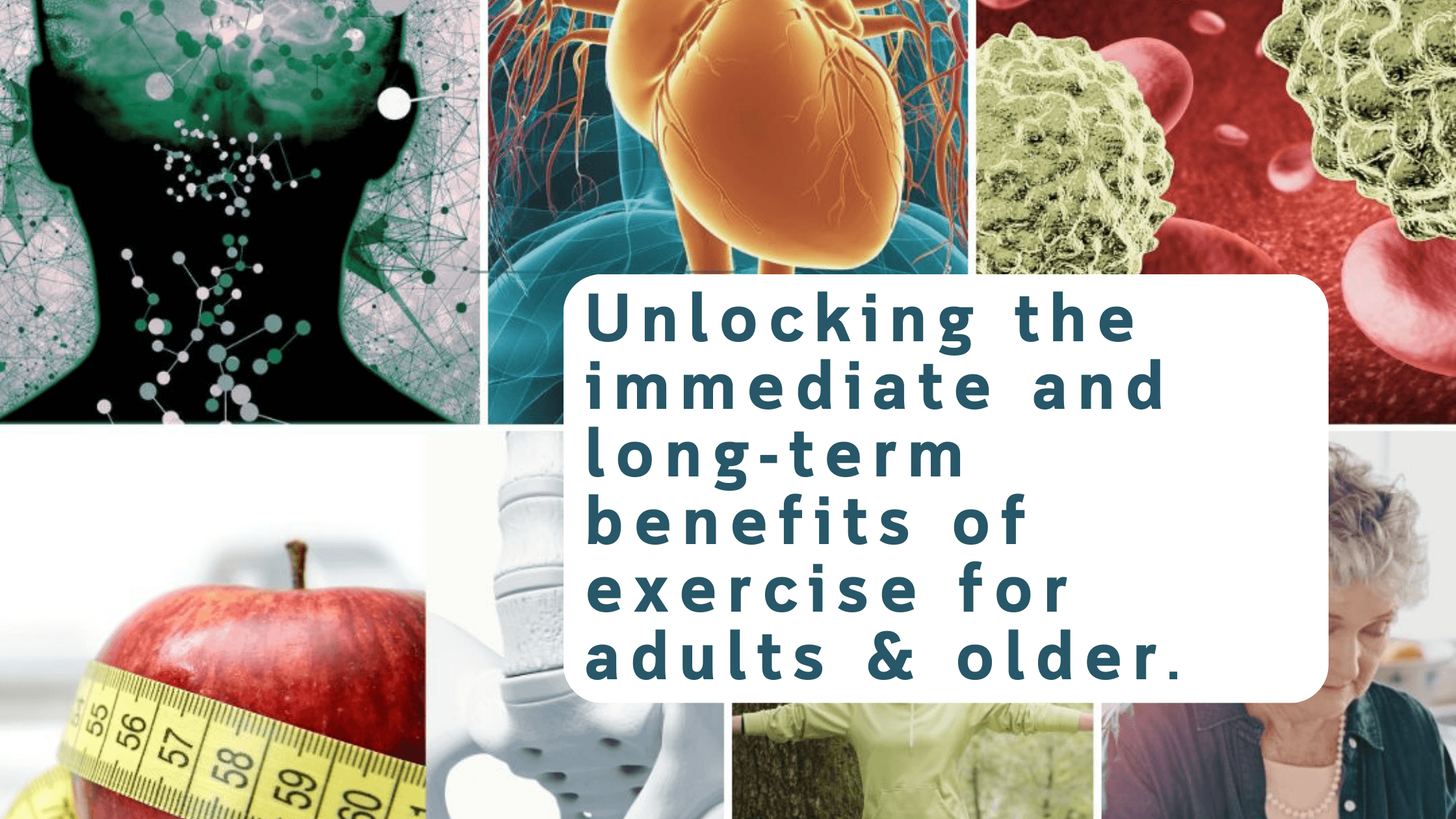 Unlocking immediate and long-term benefits of exercise for adults ...