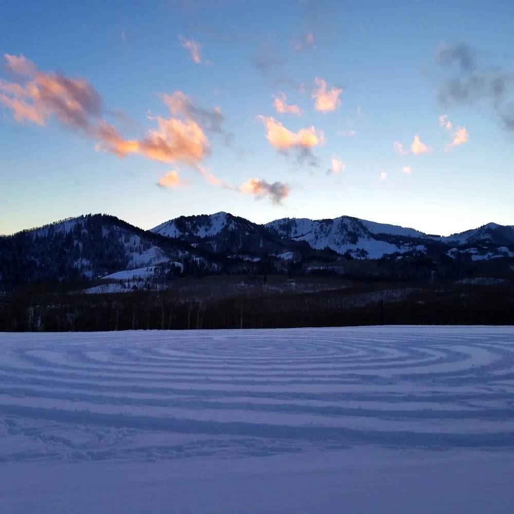 Snow Labyrinths — BRIDGETTE MEINHOLD
