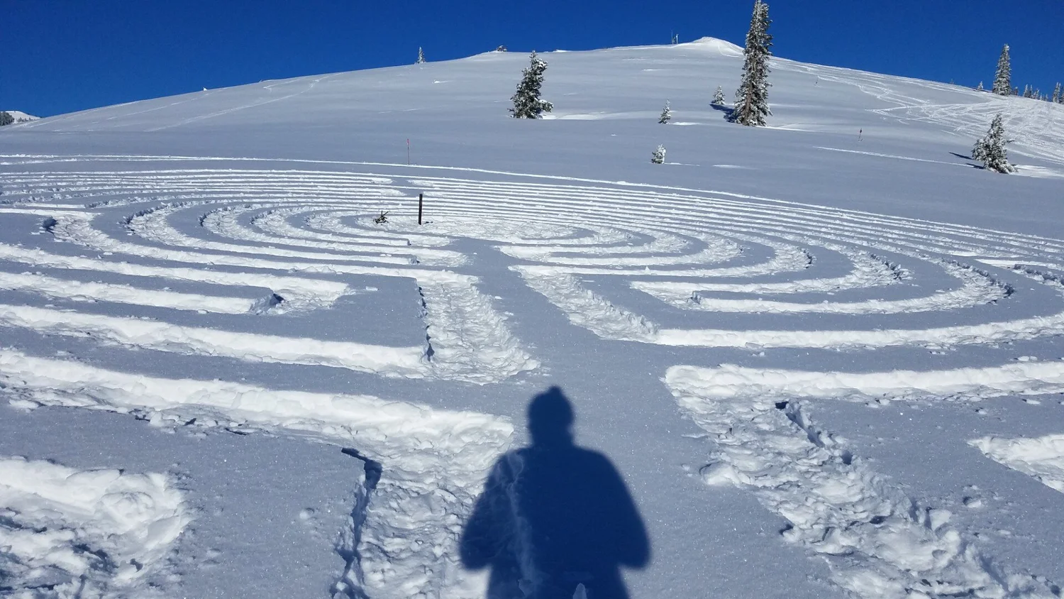 Snow Labyrinths — BRIDGETTE MEINHOLD