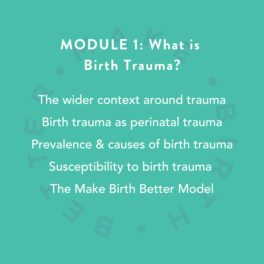 Online course birth trauma training - Make Birth Better