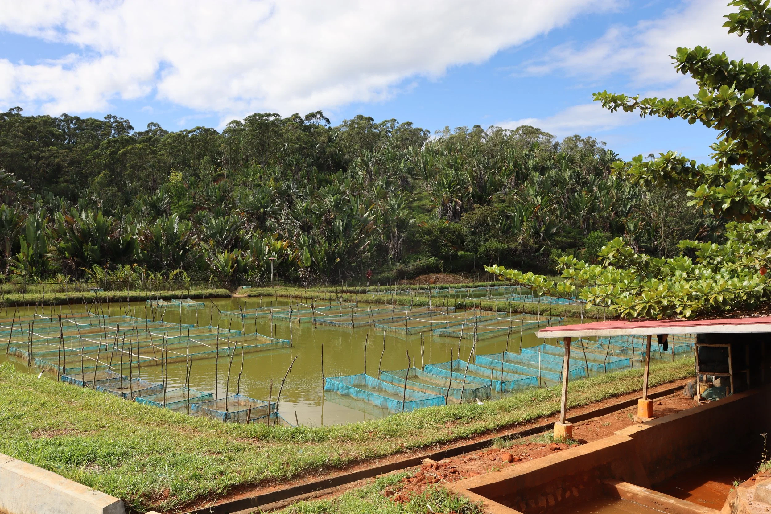 Growing Resilience for small-scale food producers and inclusive value ...