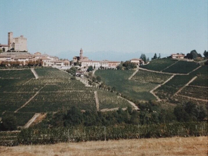 Enrico Rivetto Winery Factory Sale | varsana.com