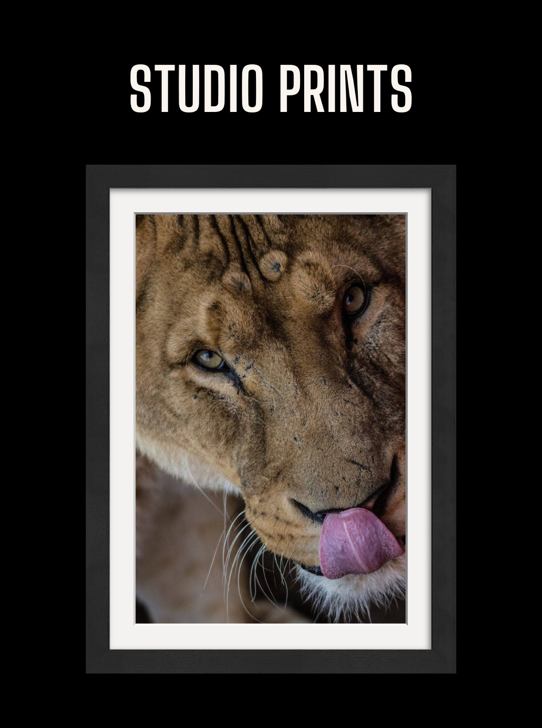 Alfie Bowen | Artist. Author. Activist.