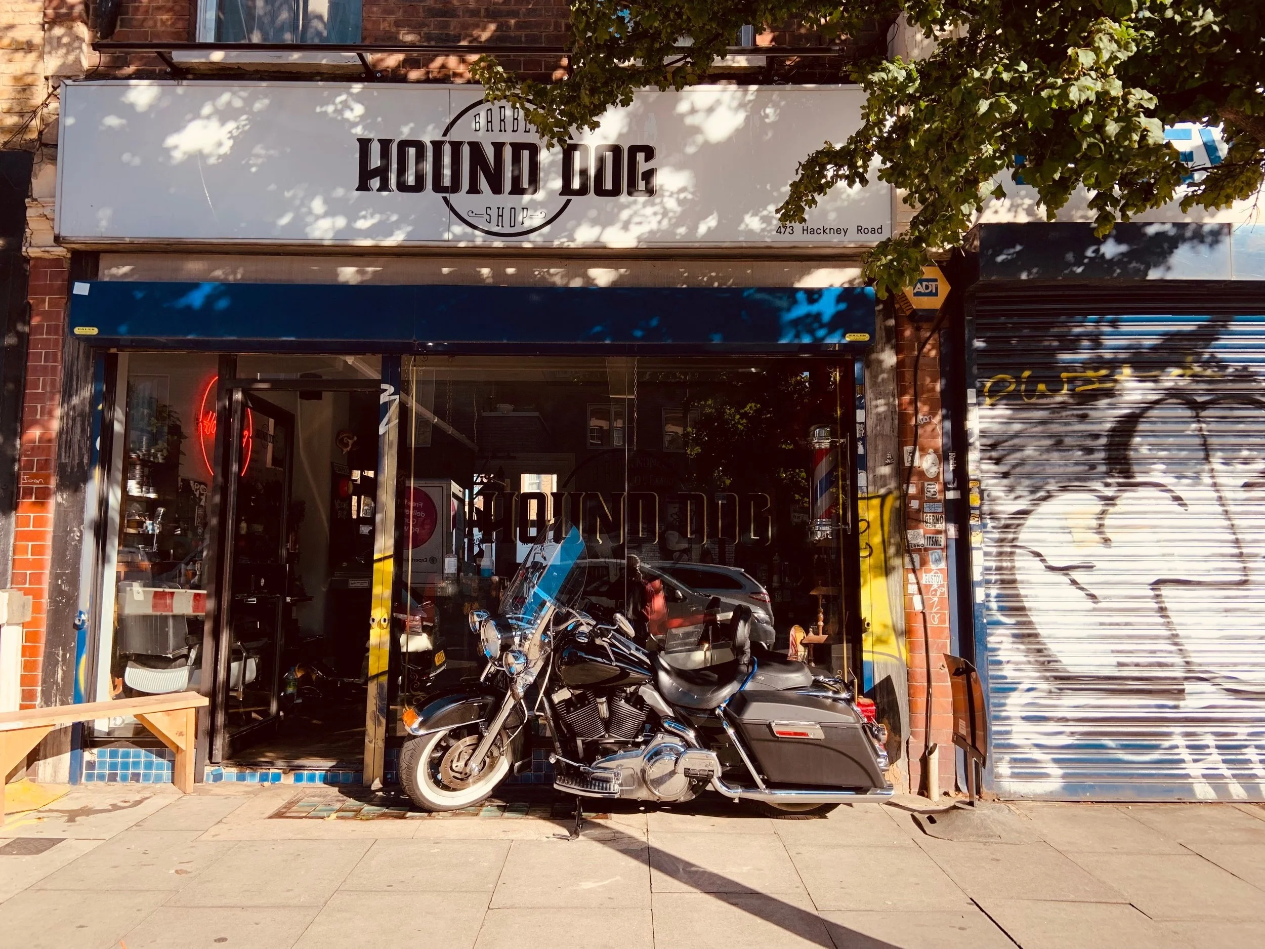 Hound Dog