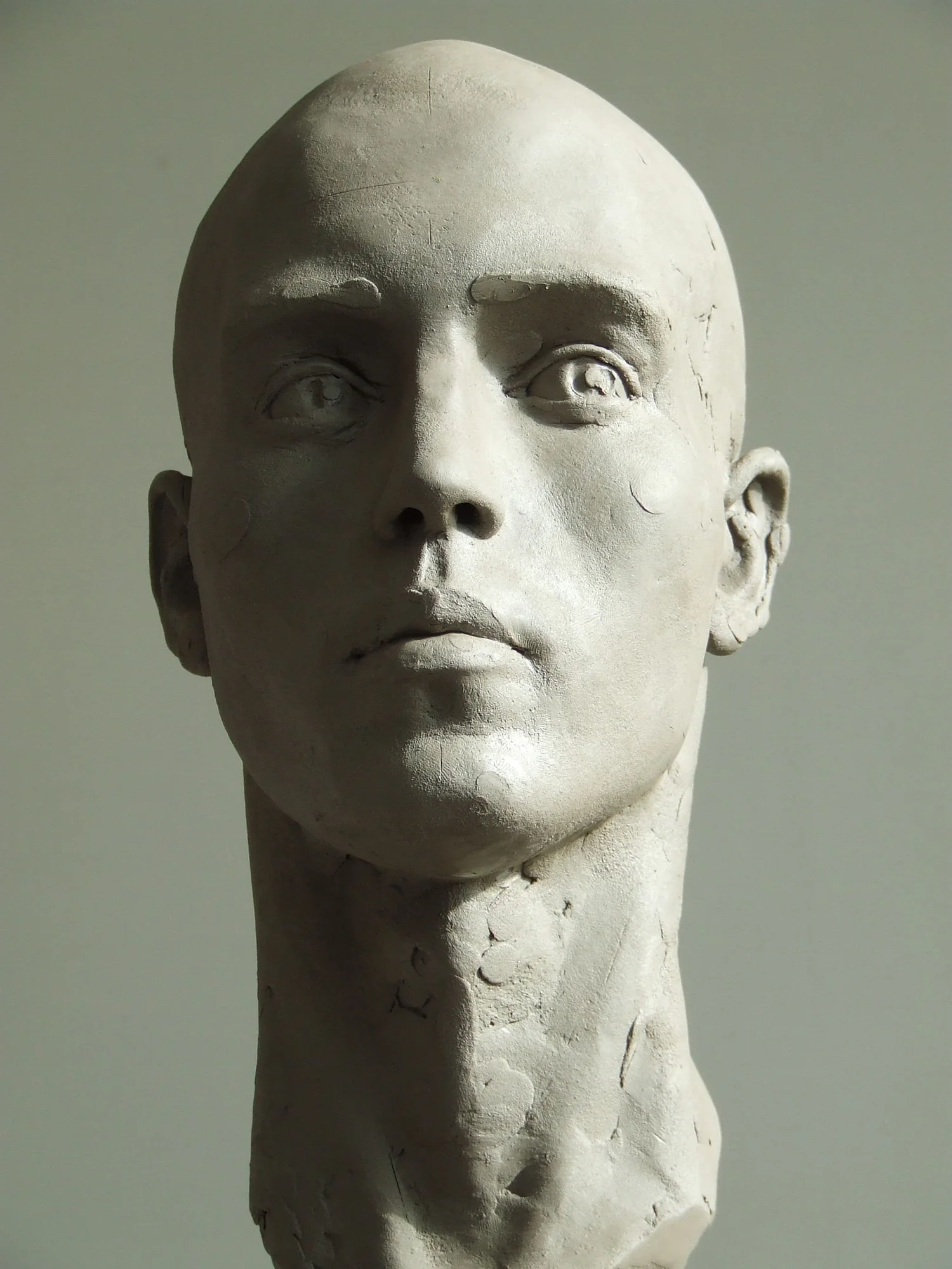 Portraits — David Klein