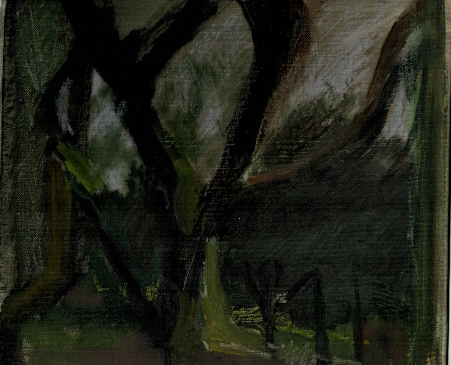 glimpses — anne goldrick - painter