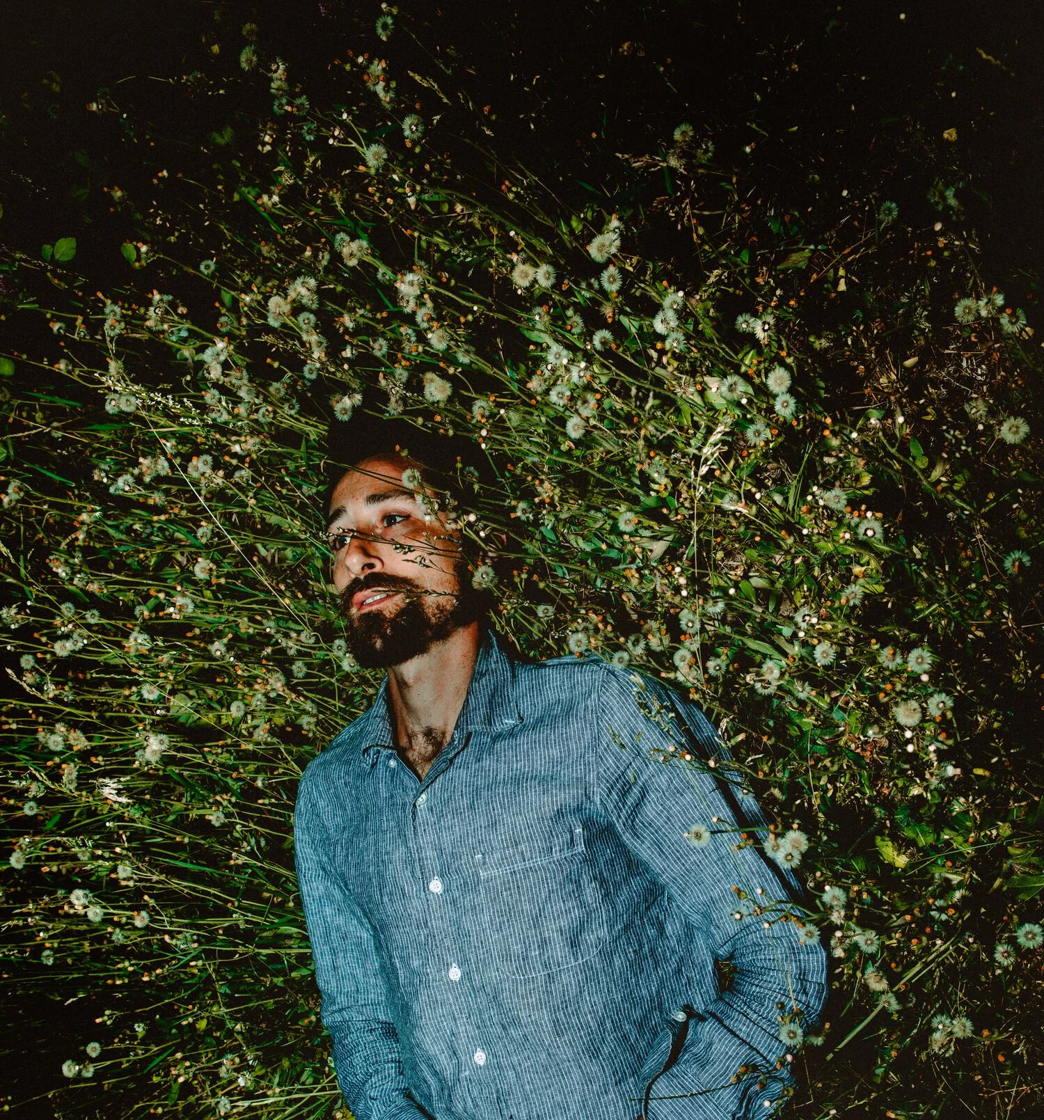 Events — Jamestown Arts Center