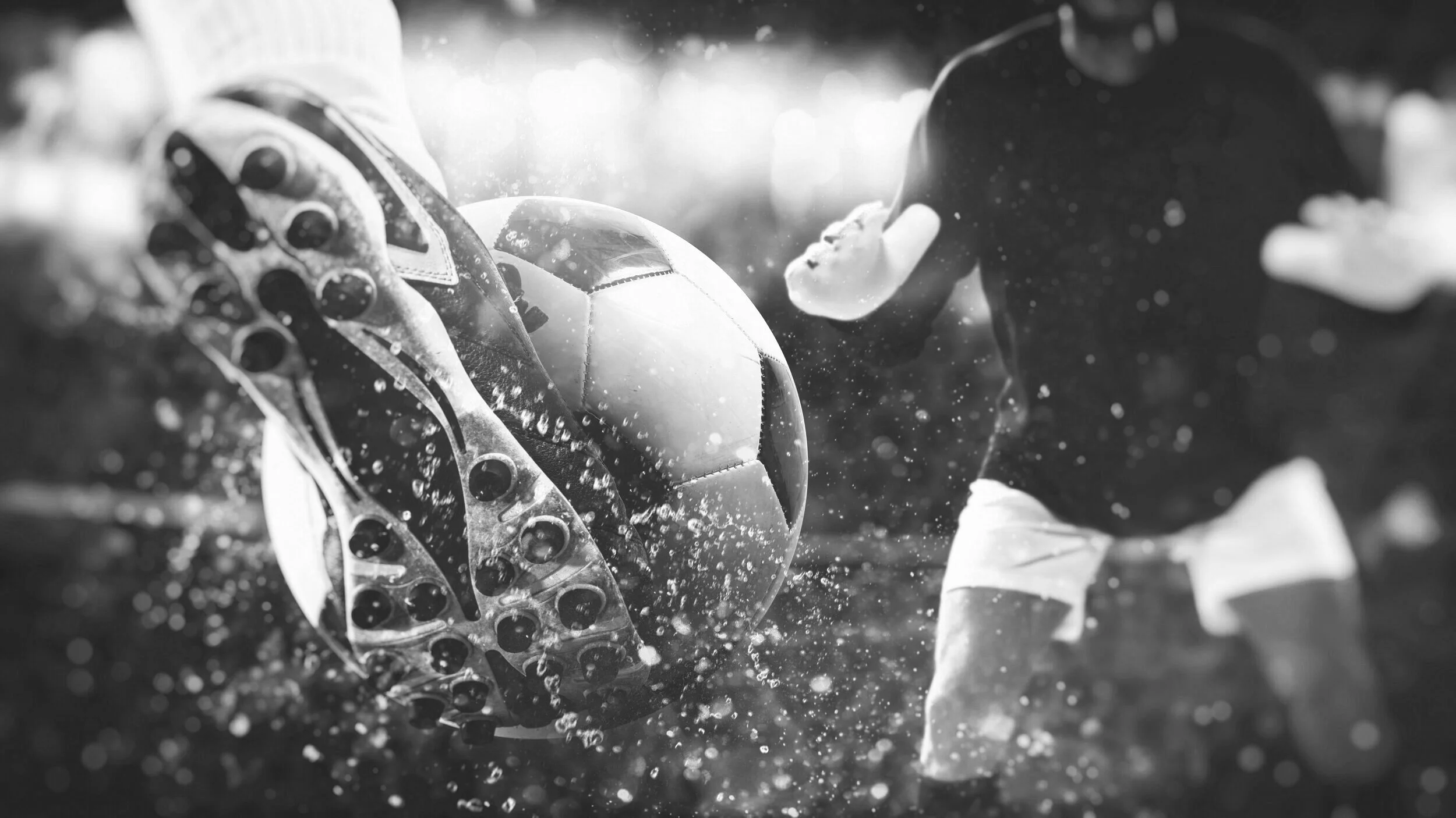 Stampede Sports Arena