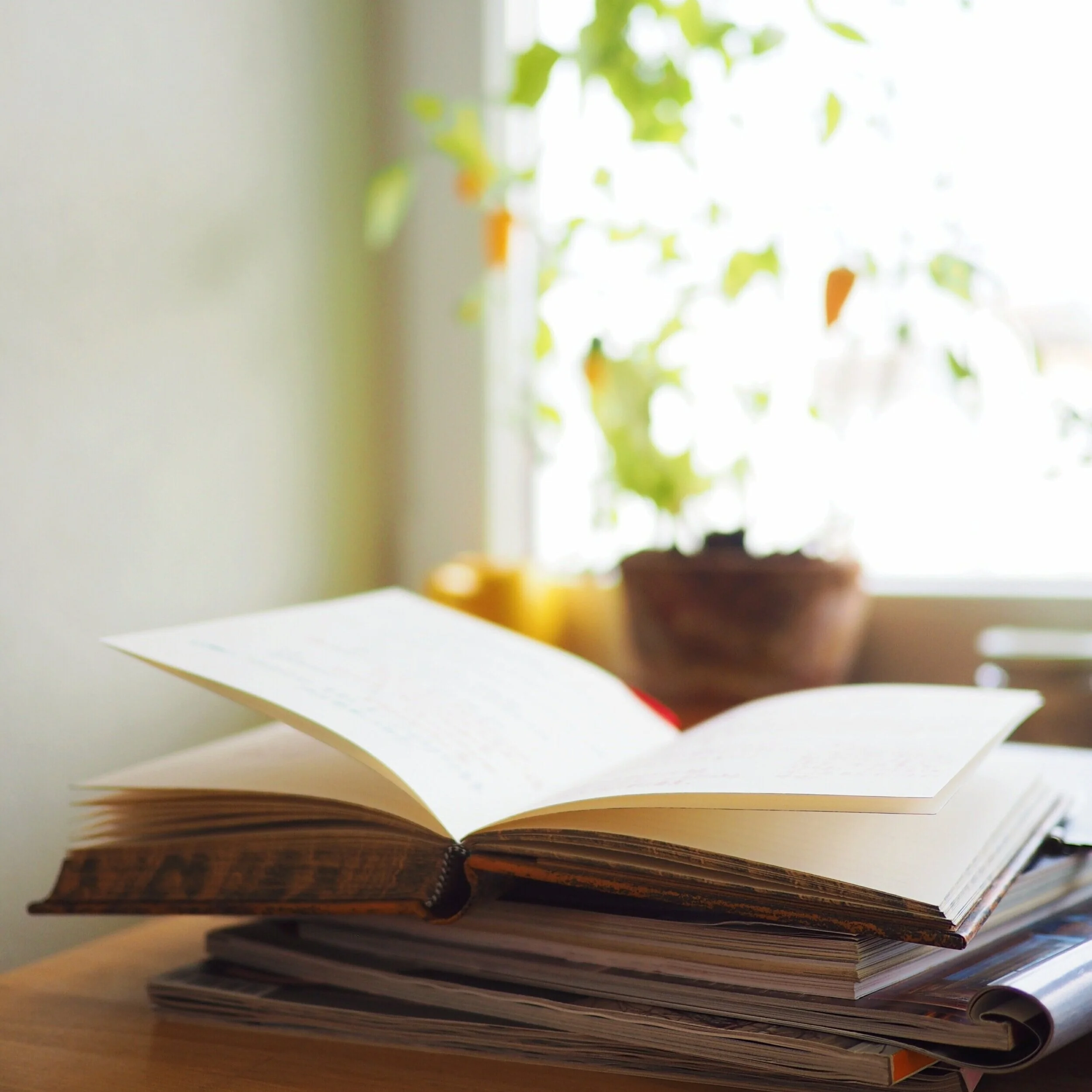 Laura Arrillaga-Andreessen LAAF.org Founder — Laura Arrillaga ...