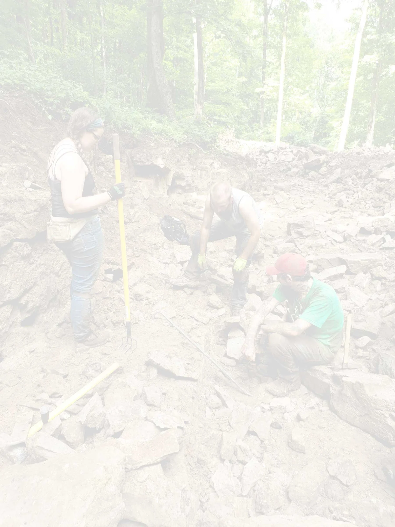 Free Digs for Mineral Clubs — Diamond Mountain Mining, Ltd.