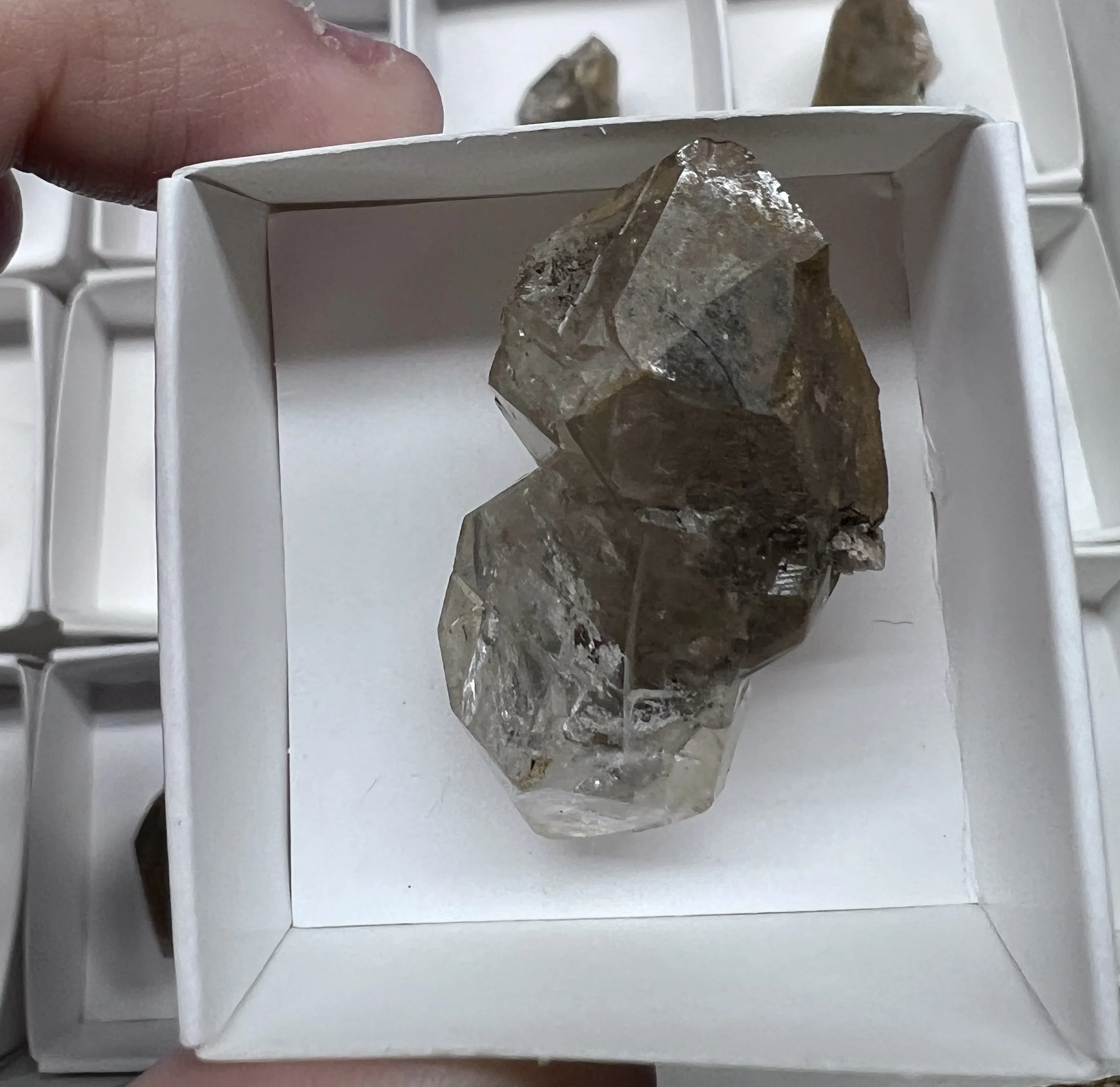 Crystal Specimen Display — Diamond Mountain Mining, Ltd.