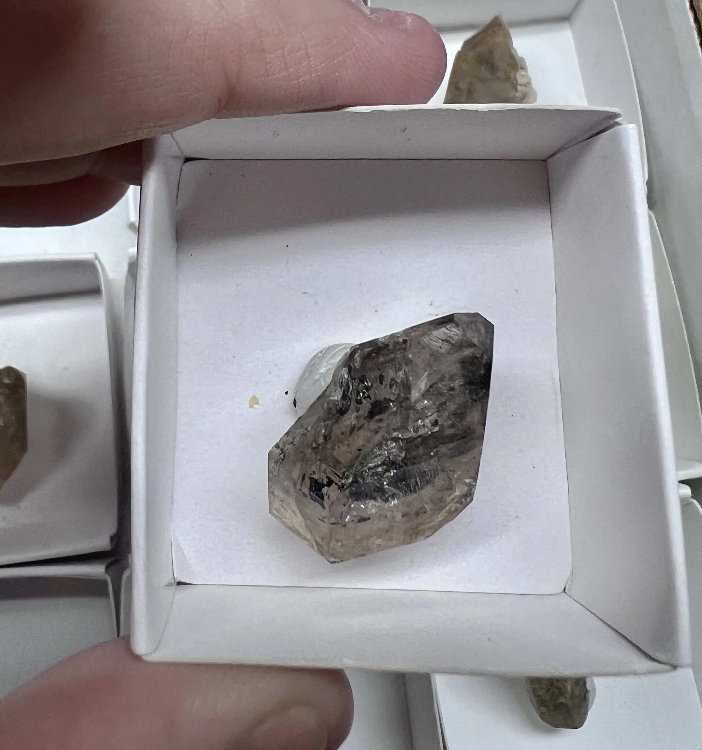 Crystal Specimen Display — Diamond Mountain Mining, Ltd.