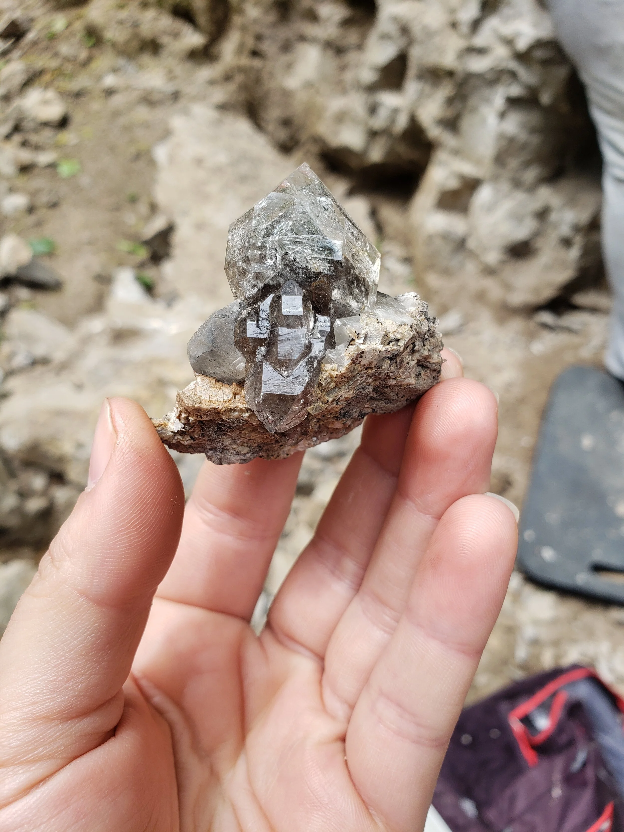 Guest Finds — Diamond Mountain Mining, Ltd.